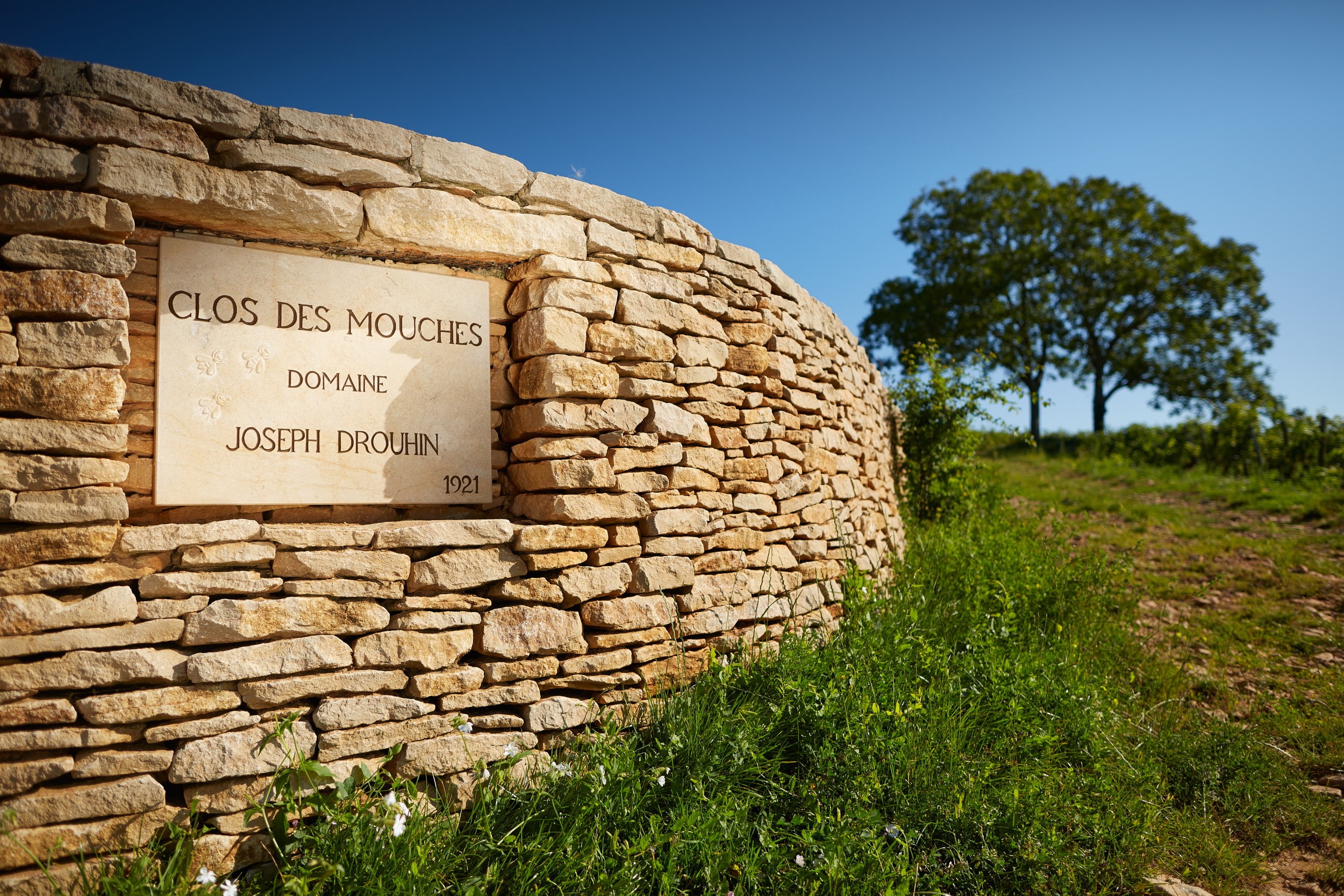 Pictures | Maison Joseph Drouhin